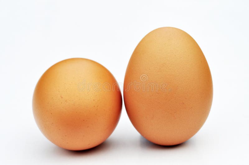 Two eggs stock image. Image of food, natural, cholesterol - 22658519