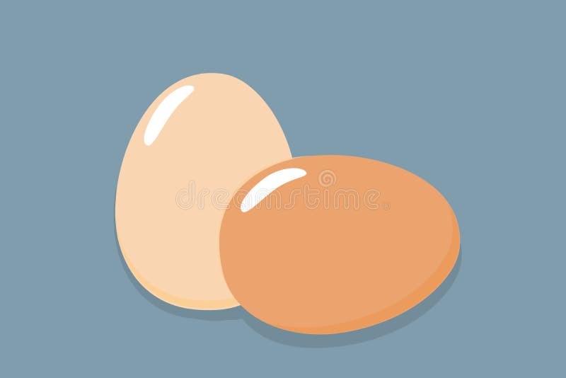 Two Eggs Brown and White Eggs. Flat Icon Stock Vector - Illustration of ...