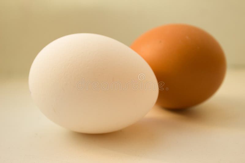 Two Eggs on White Background in Warm Colors Stock Photo - Image of ...