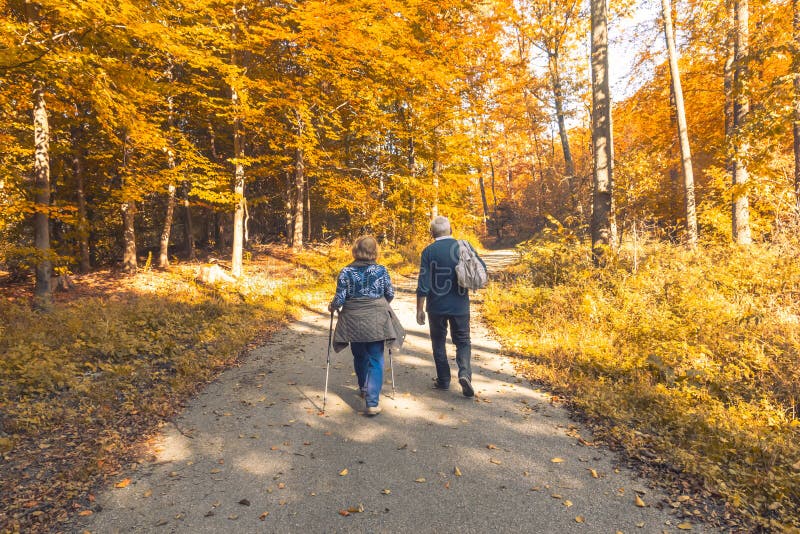 Two Elderly People Walking in the Autumn Forest Editorial Photography ...