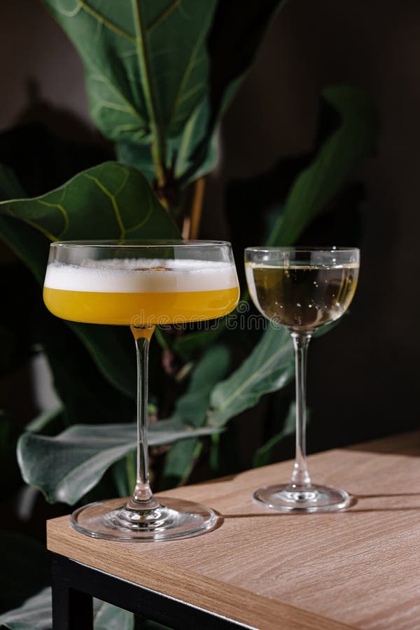 Two Elegant Cocktails Standing on Table in Front of Plant Stock Image ...