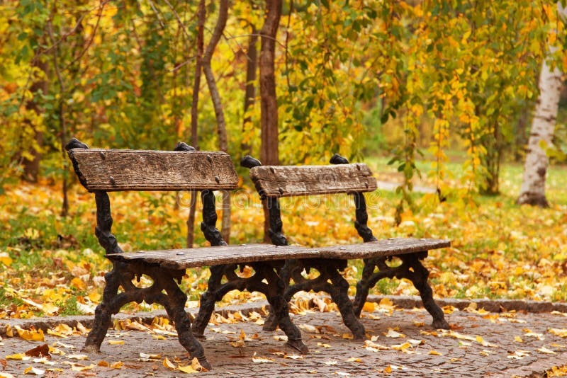 Two Empty Autumn Benches in Park Stock Image - Image of lonely, road ...