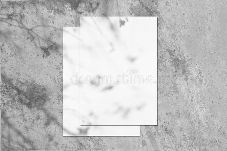 3,555 Card Mockups Stock Photos - Free & Royalty-Free Stock Photos from ...