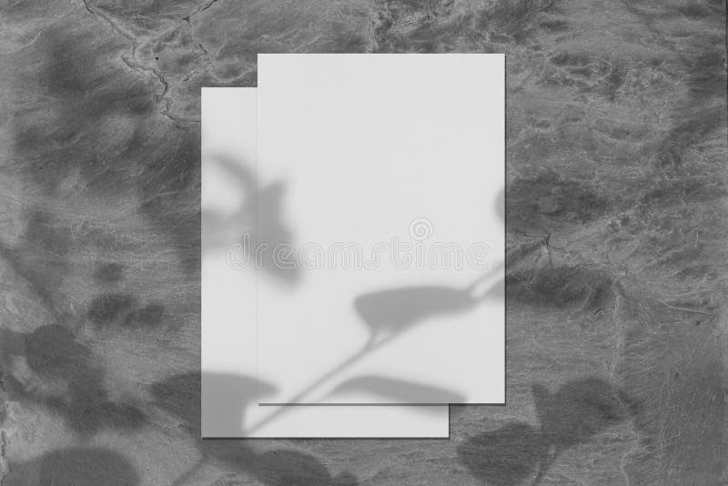 Two Empty White Rectangle Poster Mockups with Tree Shadow Stock Photo ...