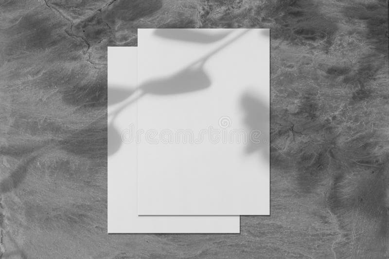 Two Empty White Rectangle Poster Mockups with Tree Shadow Stock Photo ...