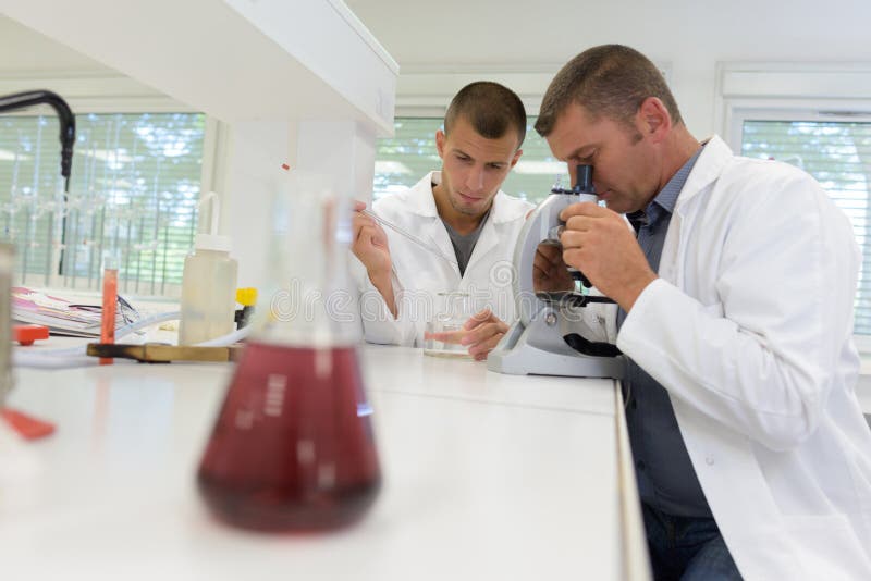 Two engineers in lab stock photo. Image of scientific - 267208140