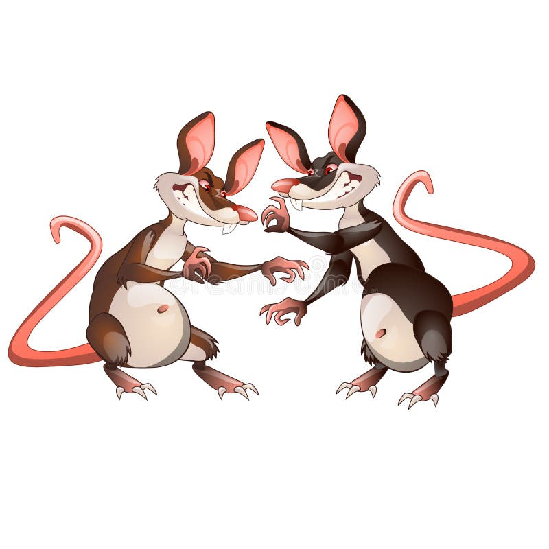 Fighting Rat Stock Illustrations – 24 Fighting Rat Stock Illustrations ...