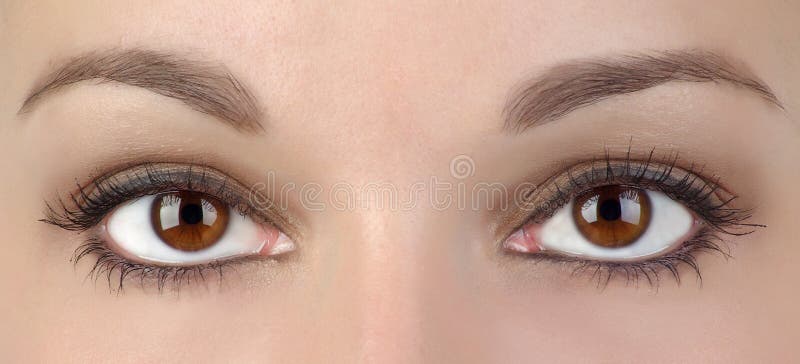 Two eyes stock photo. Image of close, focus, femininity - 11485732