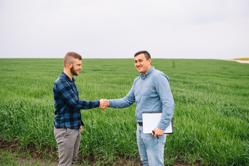 Two Farmer Standing in a Green Wheat Field and Shake Hands. Stock Image ...