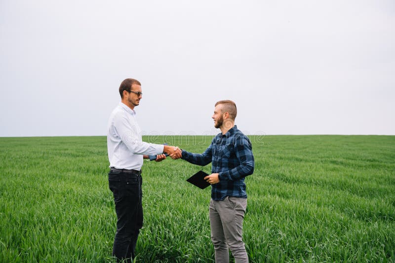 Two Farmer Standing in a Green Wheat Field and Shake Hands Stock Image ...
