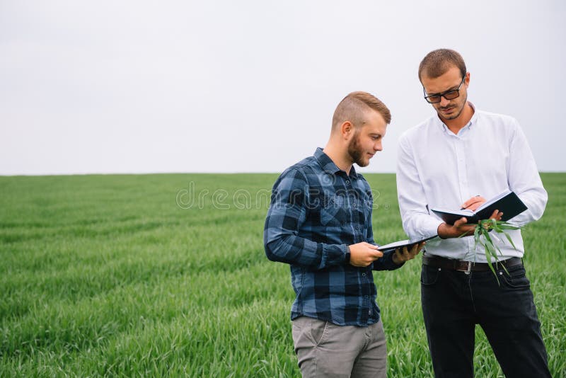 Two Farmer Standing in a Green Wheat Field and Shake Hands Stock Photo ...