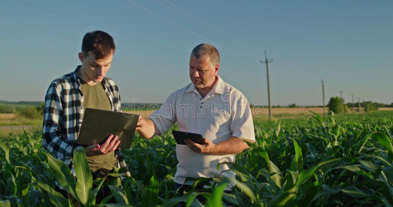 Two Farmers Conversing in a Cornfield, Using a Laptop and Tablet ...