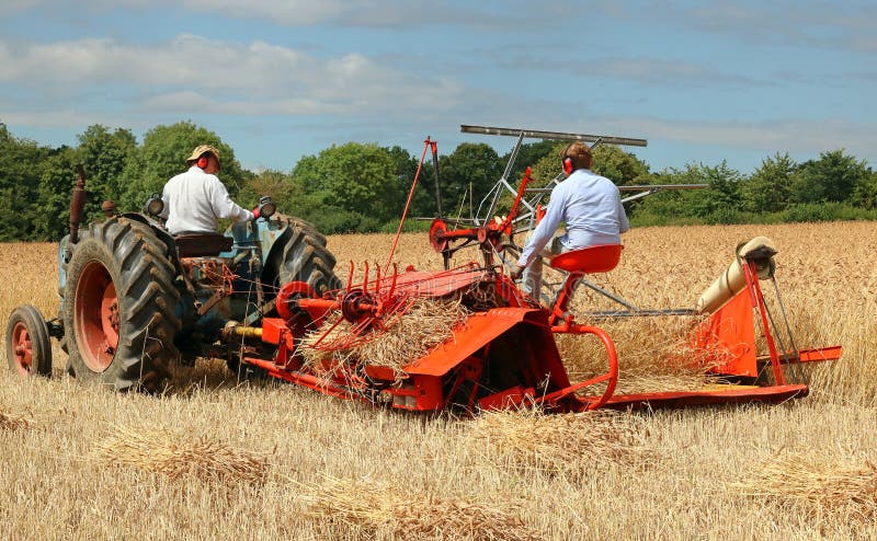 Two Farmers Operating a Reaper-binder at Harvest Time. Editorial Image ...
