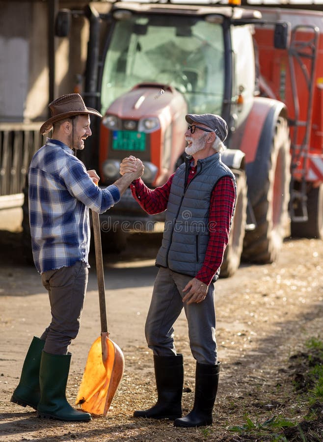 Two Farmers Shaking Hands on Cow Ranch Stock Photo - Image of male ...
