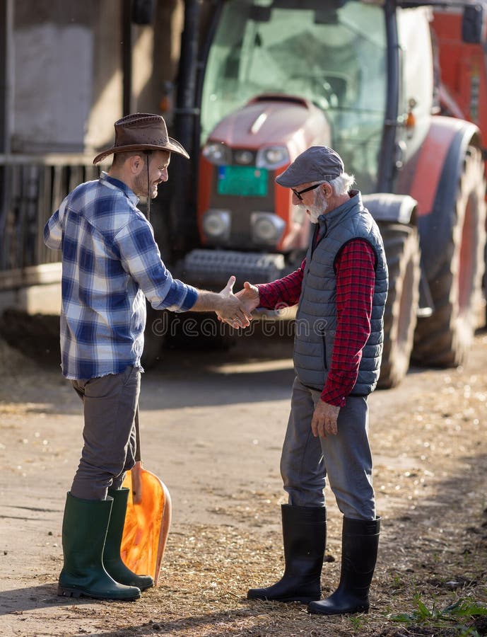 Two Farmers Shaking Hands on Cow Ranch Stock Photo - Image of mature ...
