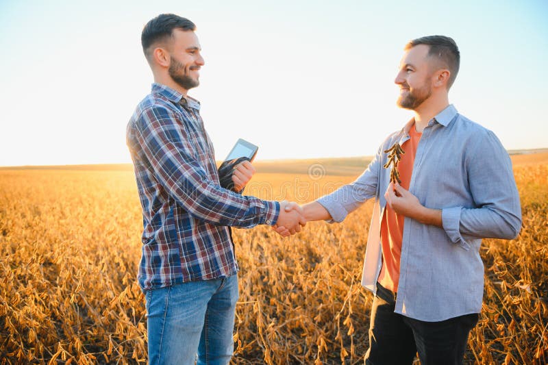 Two Farmers Shaking Hands in Soybean Field. Stock Photo - Image of hand ...