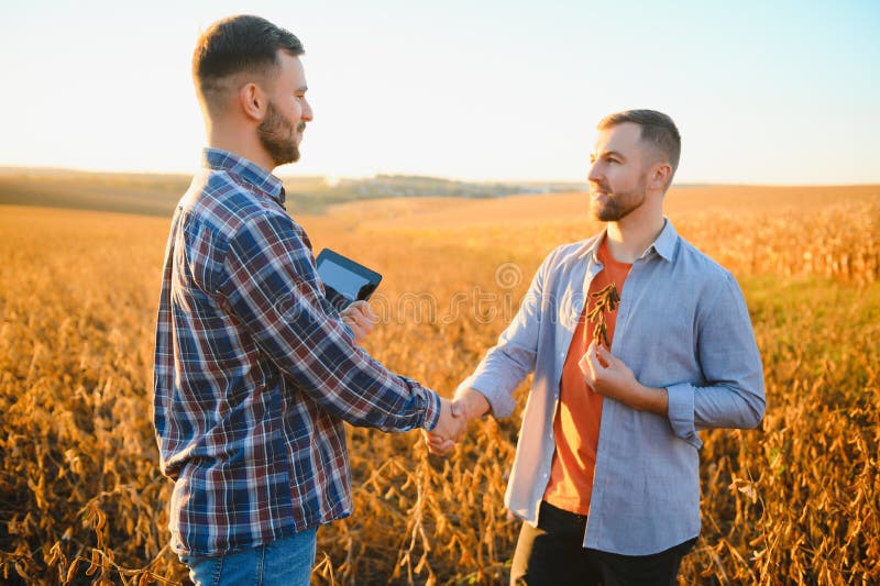 Two Farmers Shaking Hands in Soybean Field. Stock Photo - Image of ...