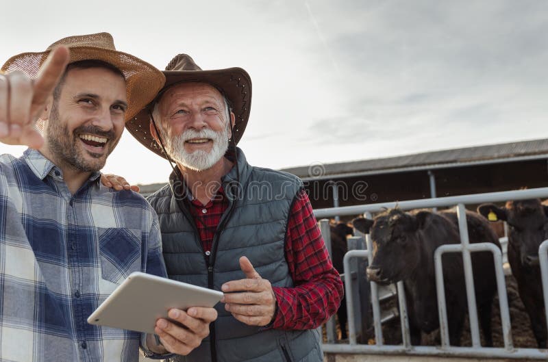 Two Farmers Using Tablet on Cattle Ranch Stock Photo - Image of father ...
