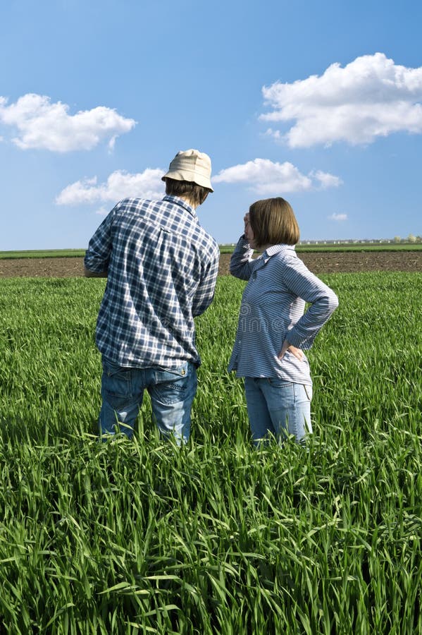Two Farmers in a Wheat Field. Stock Image - Image of barley, person ...