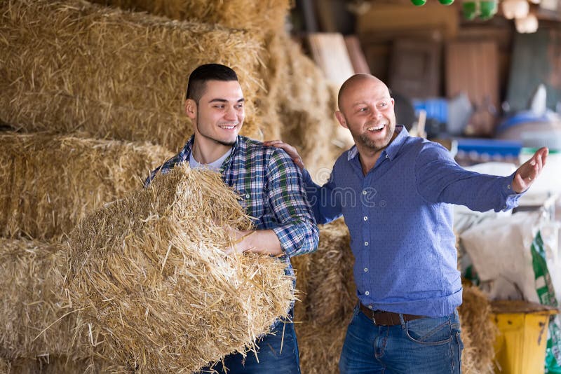 Old tools in an old barn stock image. Image of pail, dust - 37732519