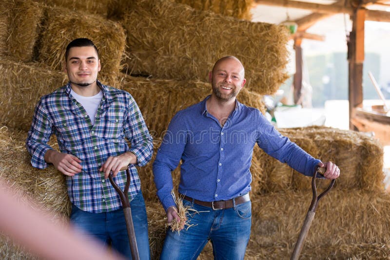 Two Farmers Working in Barn Stock Image - Image of friends, hard: 57229571