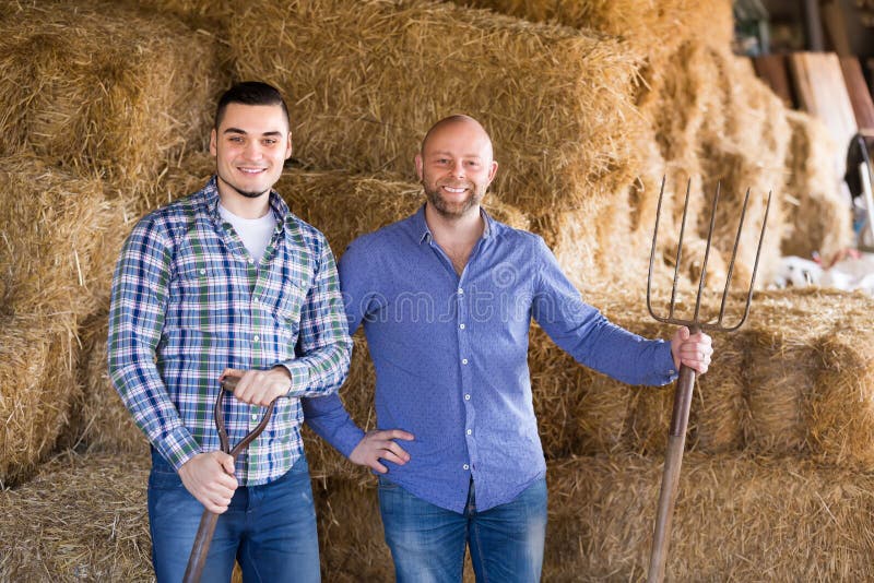 Two Farmers Working in Barn Stock Photo - Image of dried, happy: 51506954