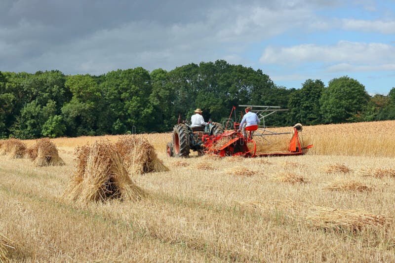 Two Farmers Working a Reaper-binder in a Field. Editorial Stock Image ...