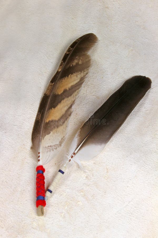 Blue jay feather stock image. Image of iridescent, barred - 18263873