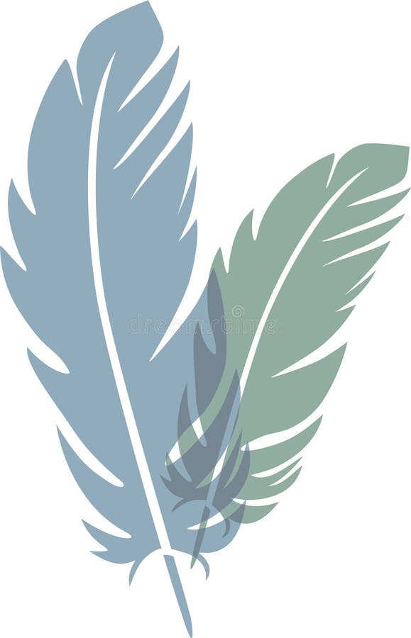 Two Feathers Isolated on White Stock Vector - Illustration of couple ...