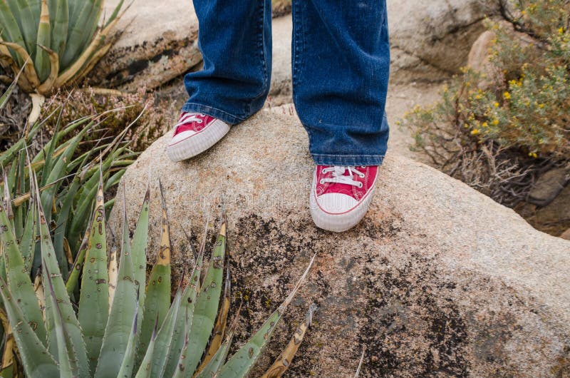 Two feet on a rock stock image. Image of dramatic, conceptual - 63977893
