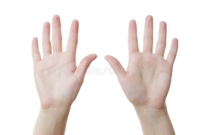 Two female hands, palms up stock photo. Image of hands - 55766616 Two female hands, palms up stock photo. Image of hands - 55766616