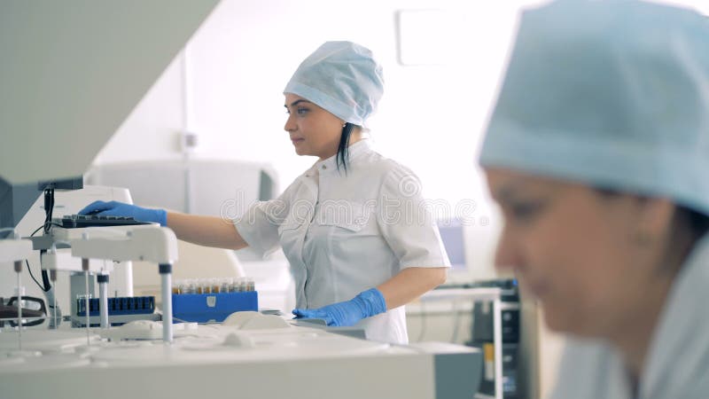 Two Female Laboratory Employees during Working Process Stock Video ...
