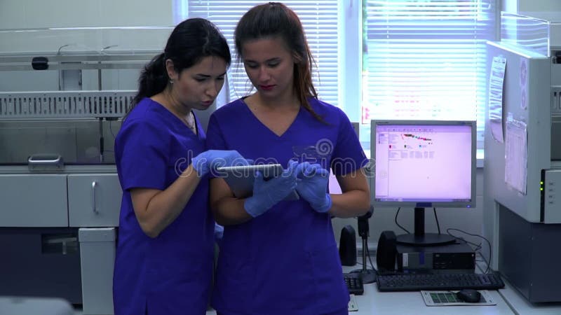 Laboratory Workers Engage in Examination of Samples Stock Footage ...