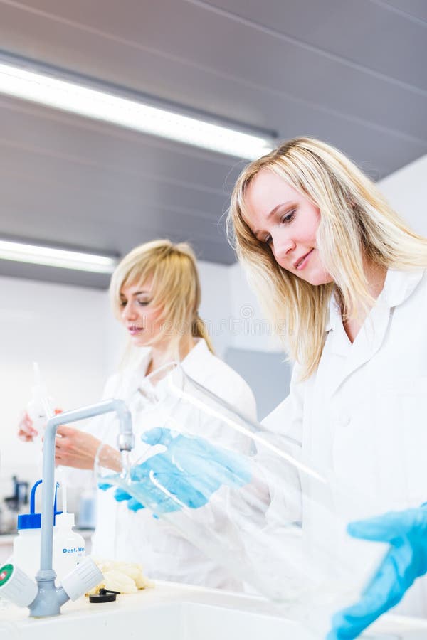 Two Female Researchers Working in a Laboratory Stock Photo - Image of ...