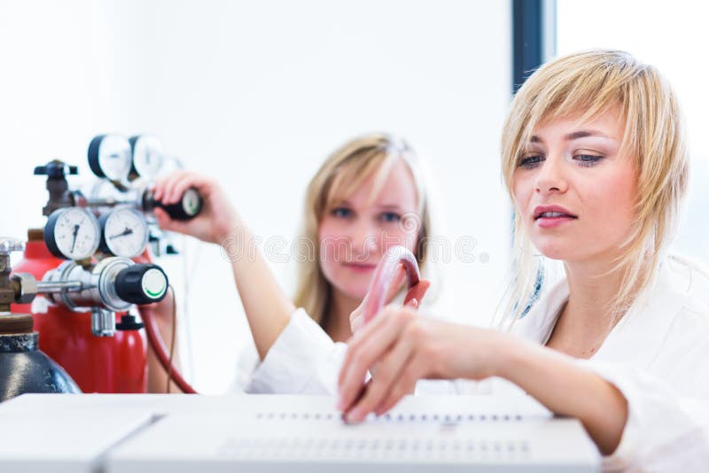 Two Female Researchers Working in a Laboratory Stock Photo - Image of ...