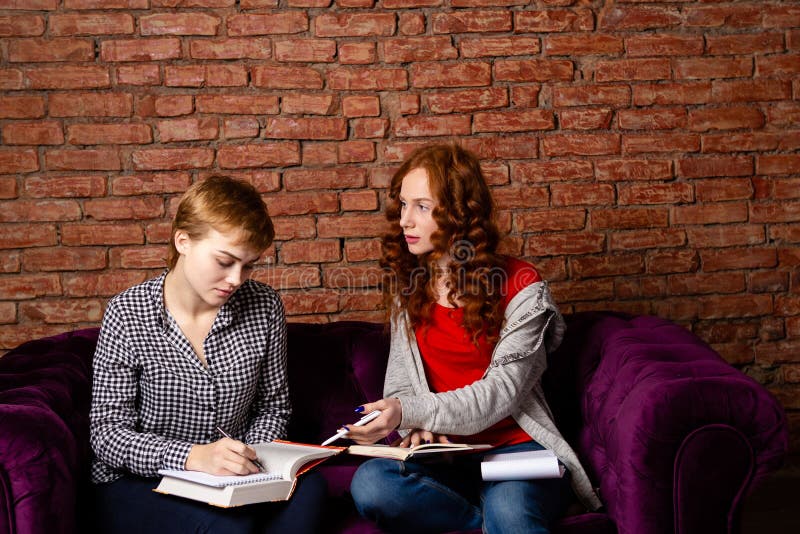 Two Female Students Learning Together Stock Photo - Image of ...