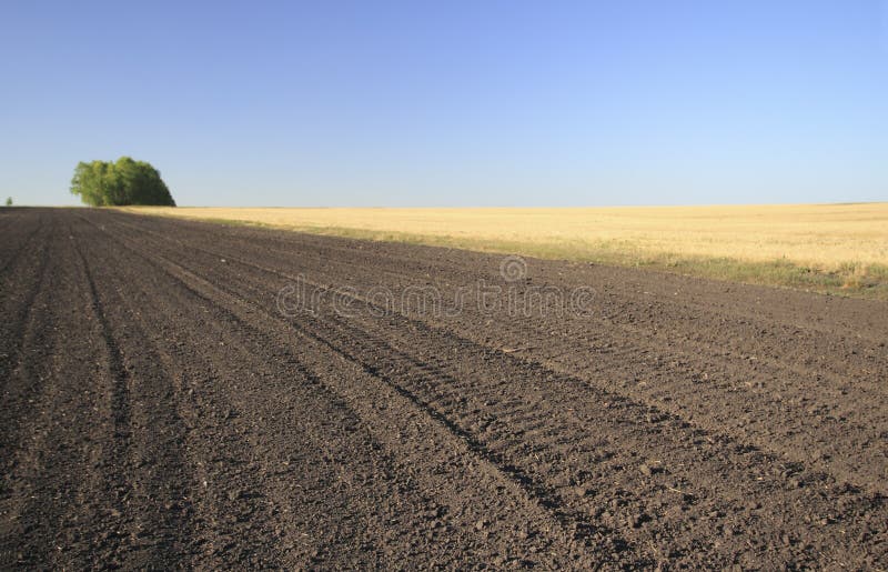 Two fields stock image. Image of black, land, plough - 15592025
