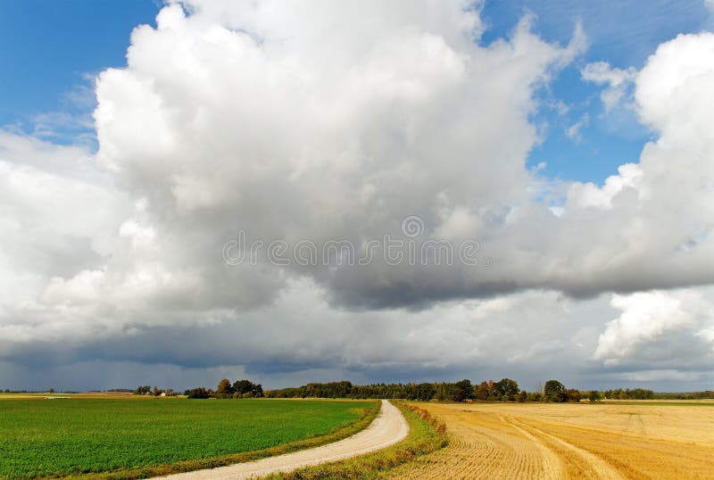 Between two fields. stock image. Image of land, forest - 26650535