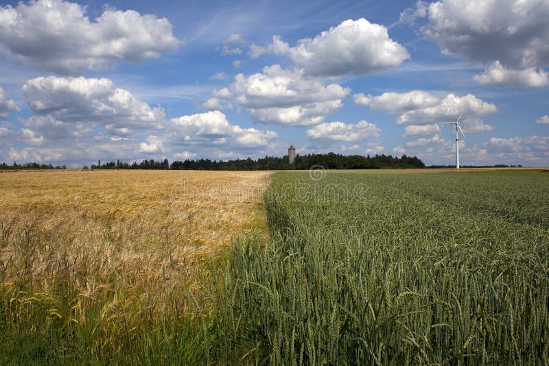 Two Fields Landscape Scene with Cloudy Blue Sky Stock Photo - Image of ...
