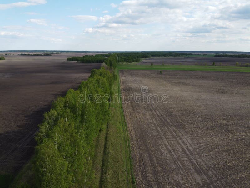 Two Fields Separated by a Forest Belt, Aerial View. Agricultural ...