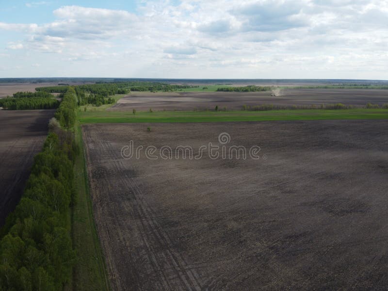 Forest Belt, Forest Line, Deep Blue Sky View, Field, Electric Wires ...