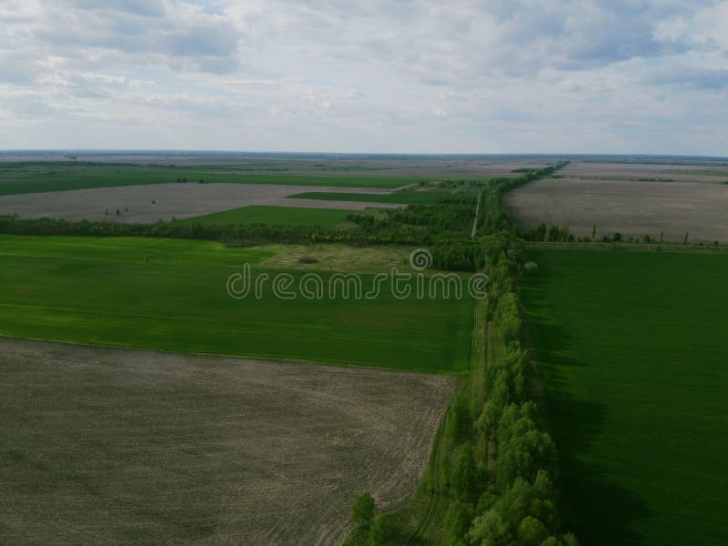 Two Fields Separated by a Forest Belt, Aerial View. Agricultural ...