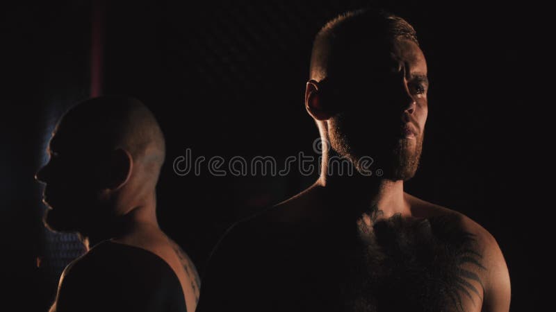 Two Fighters MMA are Posing Against the Backdrop of an Octagon Stock ...