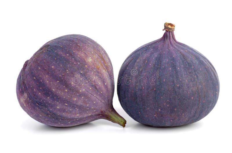 Two figs stock photo. Image of ripe, dietary, juicy, purple - 33644304