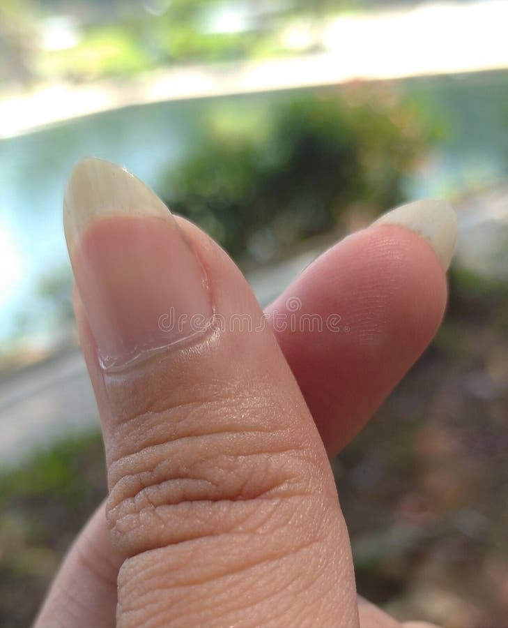 Two Fingers Joined Together Symbolize Love Stock Photo - Image of ...