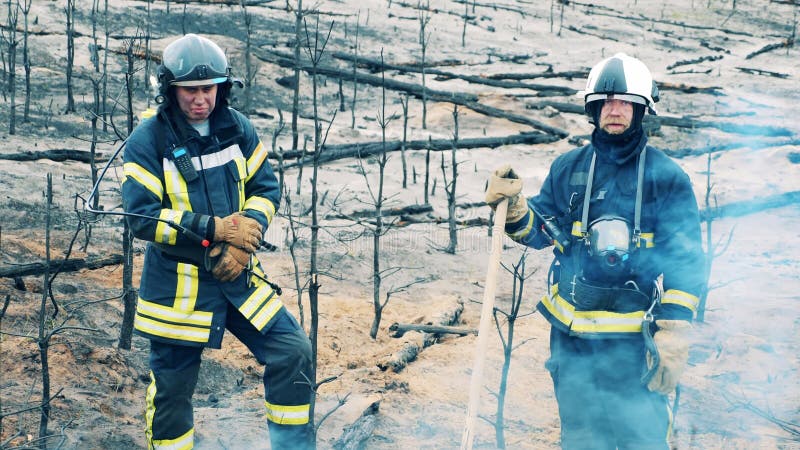 Two Firemen in Safety Outfits are Standing in the Forest Fire Area ...