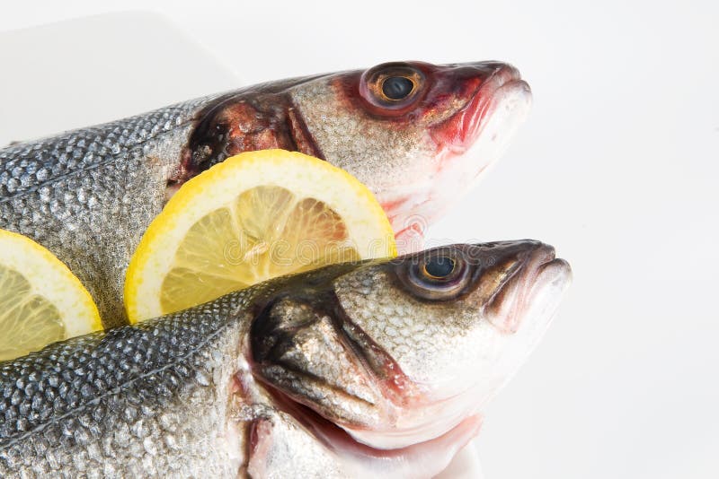 Fish stock image. Image of fresh, ocean, fish, lunch, food - 3247969