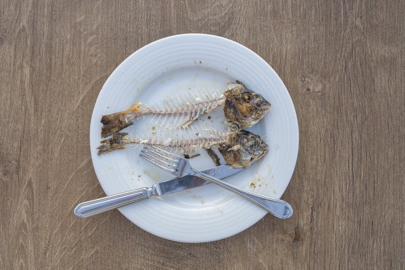 Two Fish Bone with Head and Knife and Fork on White Plate, Close Up ...