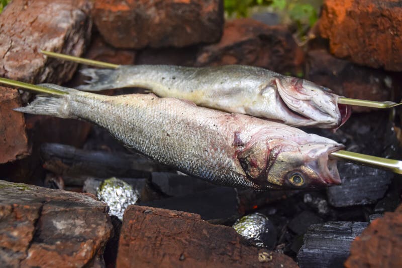Two Fish on Skewers on Grill Barbecue Burning Charcoal Stock Image ...