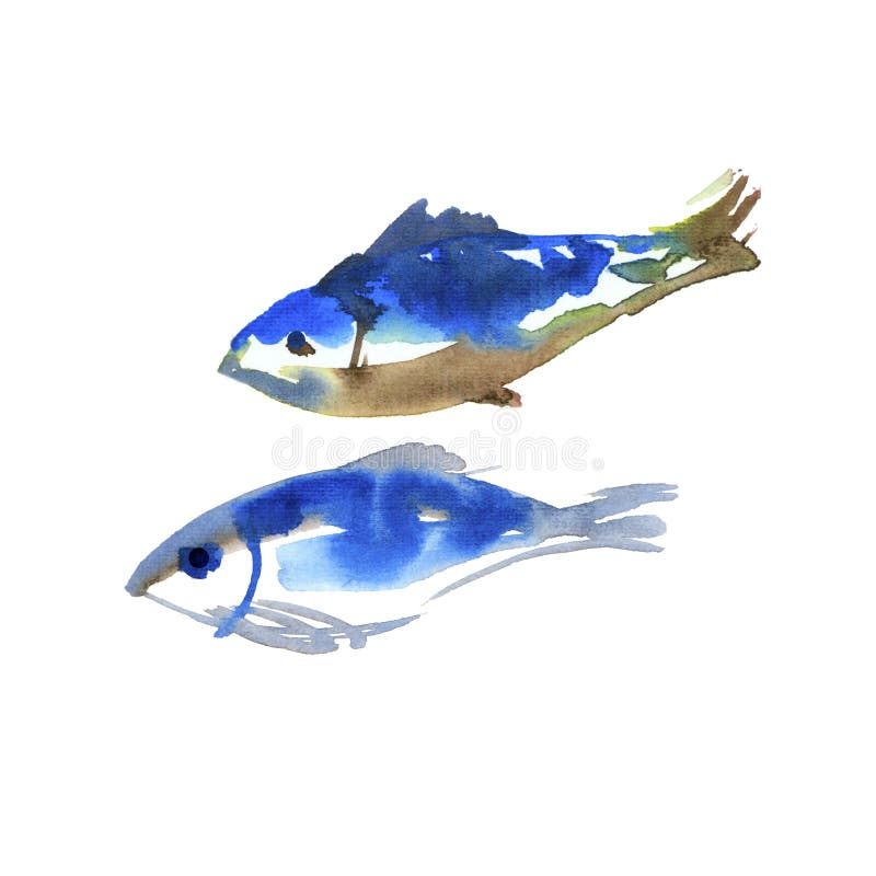 Two fish stock illustration. Illustration of print, title - 64136294